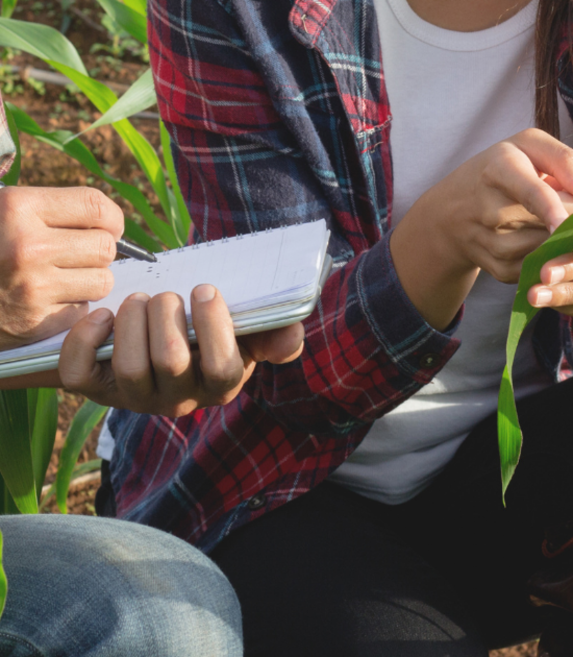 Edu Farmers Foundation