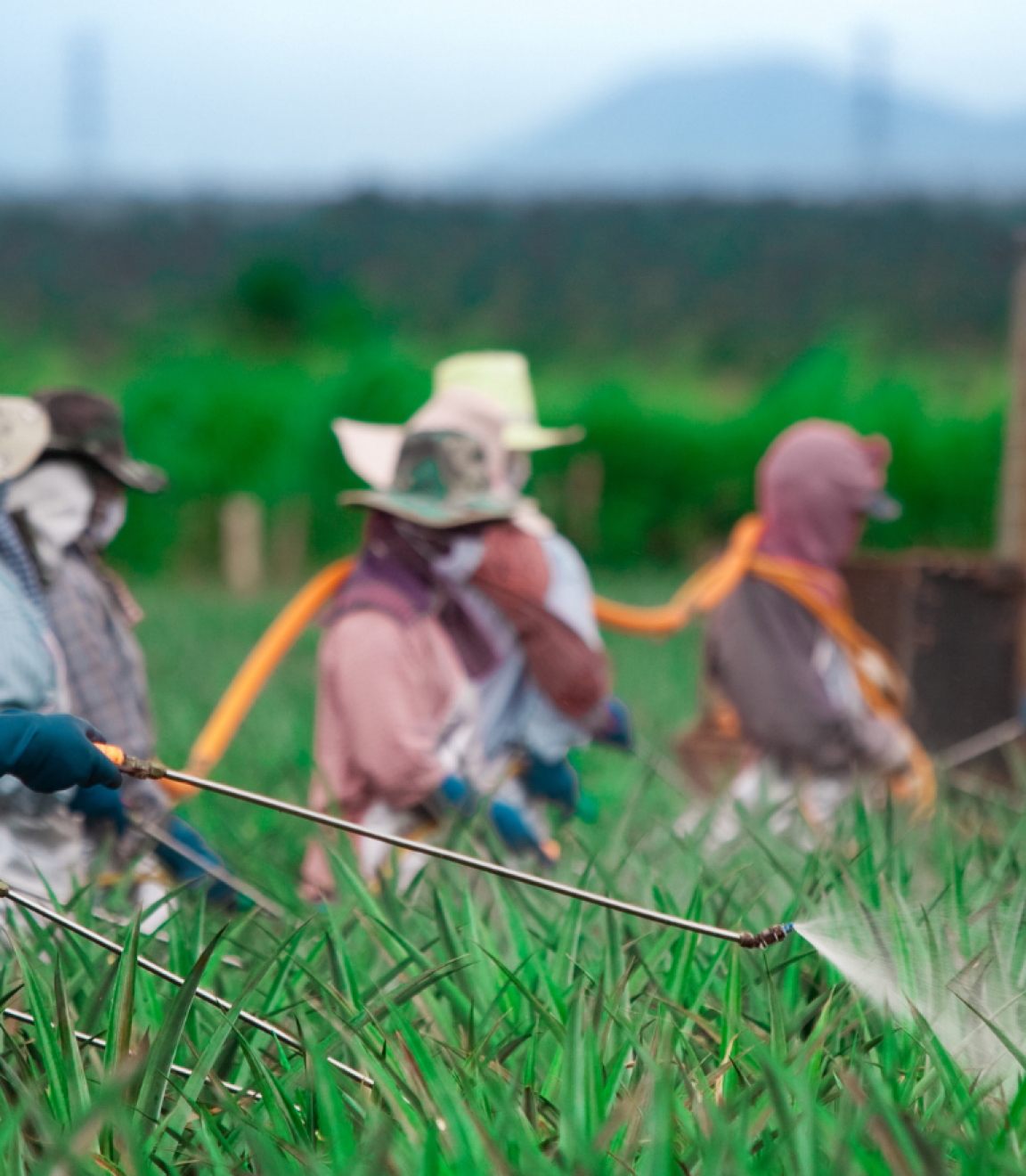 Edu Farmers Foundation