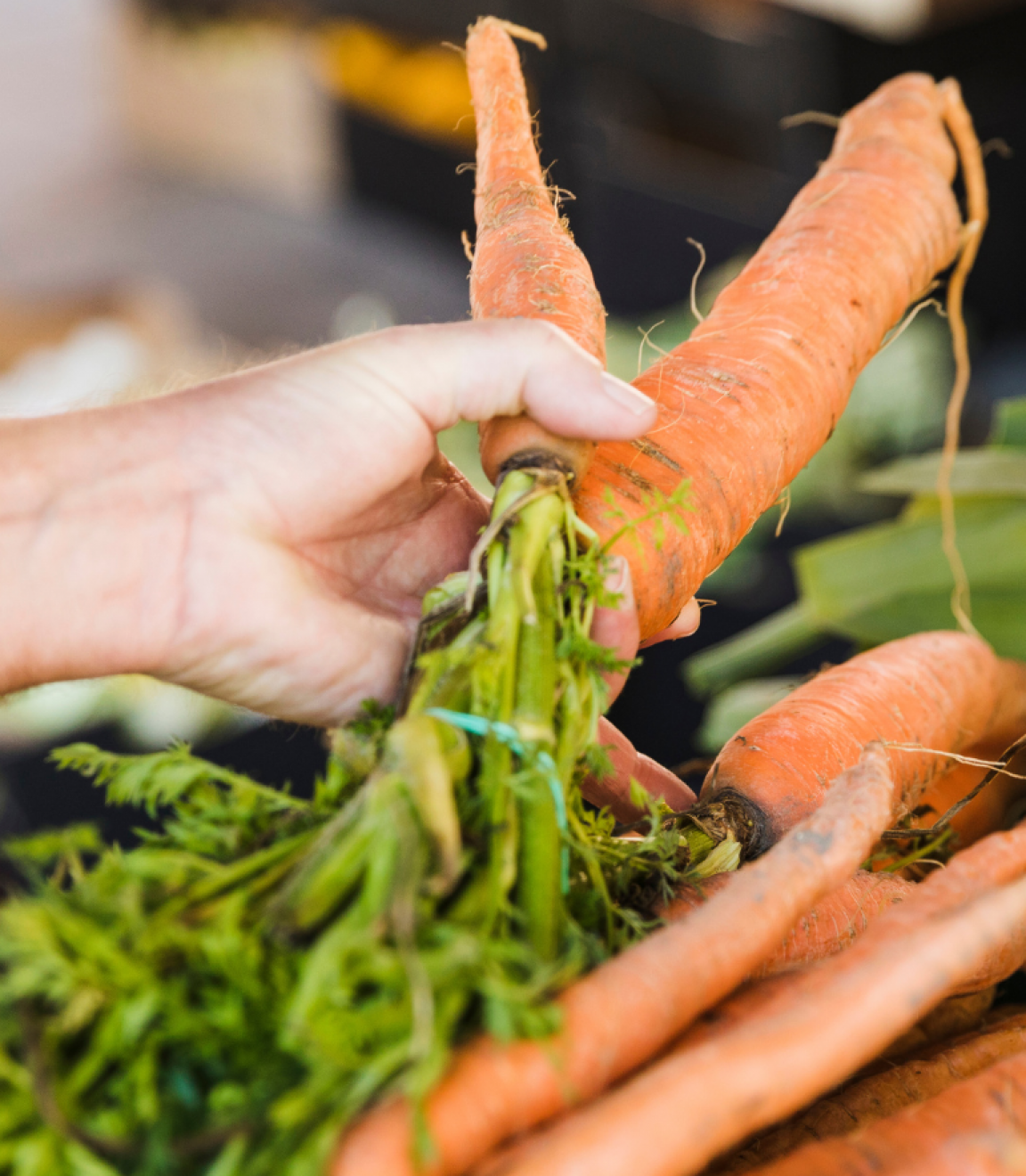 Edu Farmers Foundation