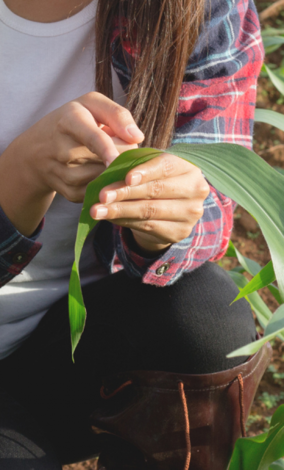 Edu Farmers Foundation